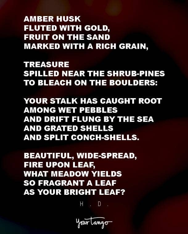 5 Sexy Love Poems Guaranteed To Turn Anyone On Yourtango